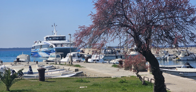 Catamaran ferry transportation | TP Line d.o.o.